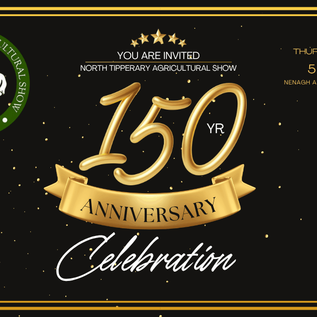 Nenagh Arts Centre – A vibrant multi-disciplinary arts space for Nenagh ...